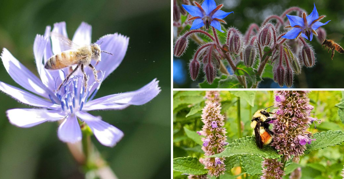Gardeners Were Wrong About Bee Plants — These 29 Hidden Gems Actually ...