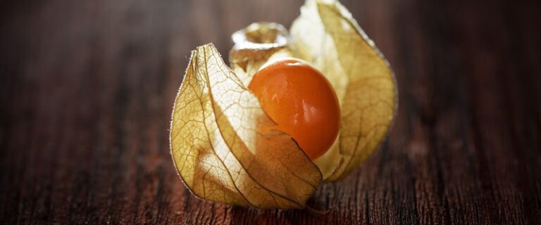 31 Types Of Fruits That Went Extinct (And What We Lost Forever ...