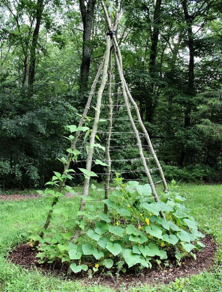 Turn Tree Trimmings Into Raised Beds With This Method - Complete Gardening
