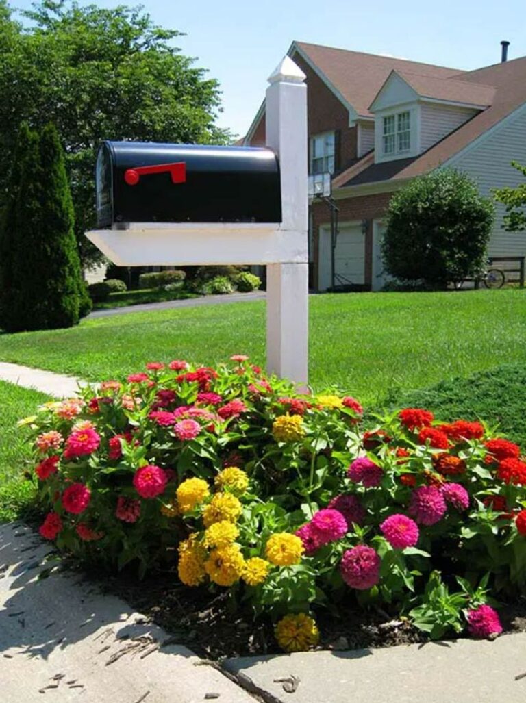 15 Gorgeous Flowers That Will Turn Your Mailbox into a Floral ...