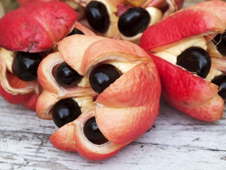 The Hidden Truth About 21 Rare Fruits: They're Easier Than Regular Ones ...