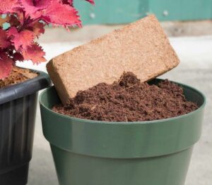 17 Essential Soil Ingredients You Should Add To Your Raised Beds ...