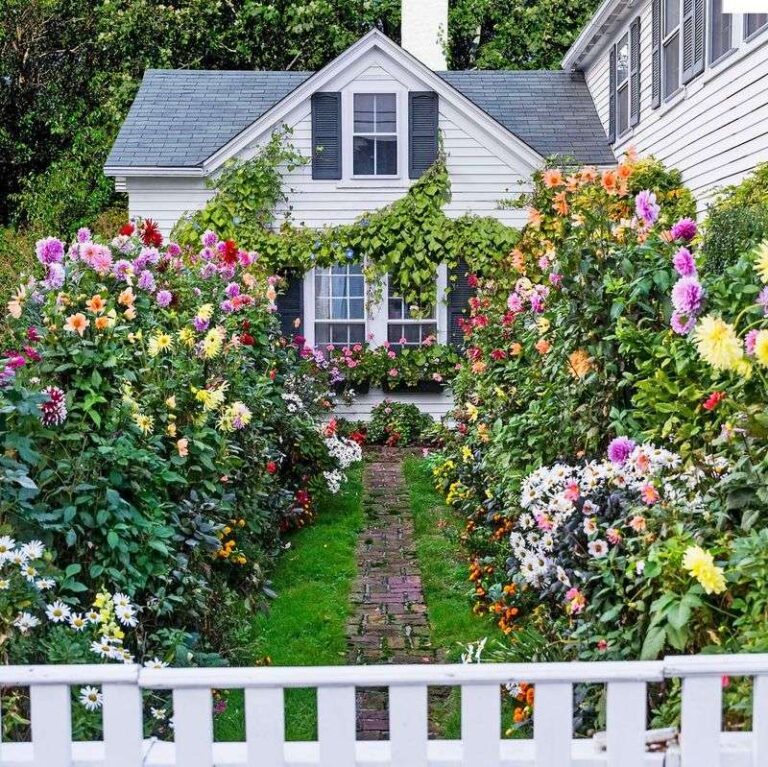 Want a Picture-Perfect Yard? Try These 27 Easy Landscaping Ideas ...