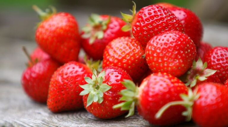 15 Fruits That Clean Your Gut Naturally—No Cleanse Required - Complete ...