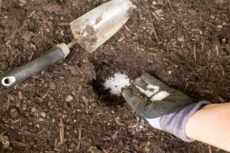17 Essential Soil Ingredients You Should Add To Your Raised Beds ...