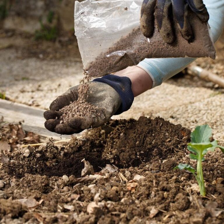 17 Organic Ways to Kill Root-Knot Nematodes Without Chemicals ...