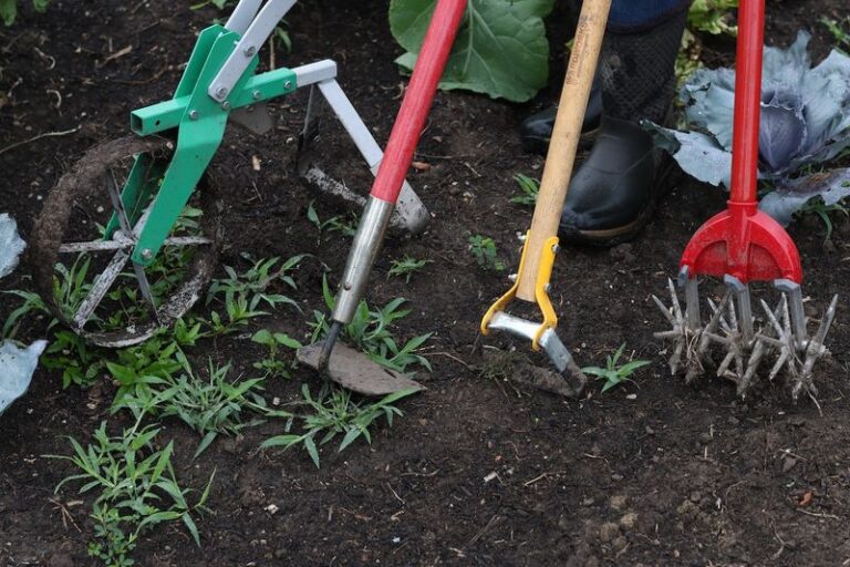 17 Broccoli Growing Mistakes That Kill Your Harvest — Plus 9 Secrets ...