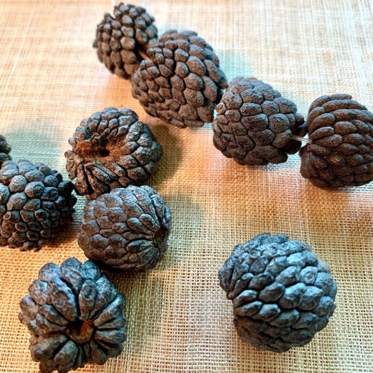 31 Types Of Fruits That Went Extinct (And What We Lost Forever ...