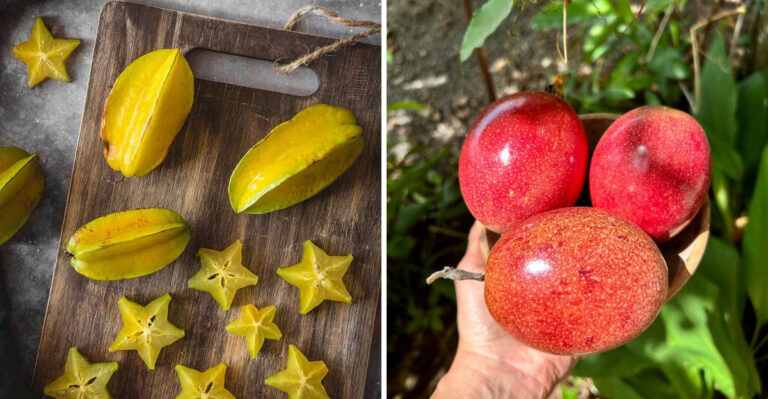 Skip These 7 Tropical Fruits - Try Hawaii's 8 Best Liliko'i Instead ...