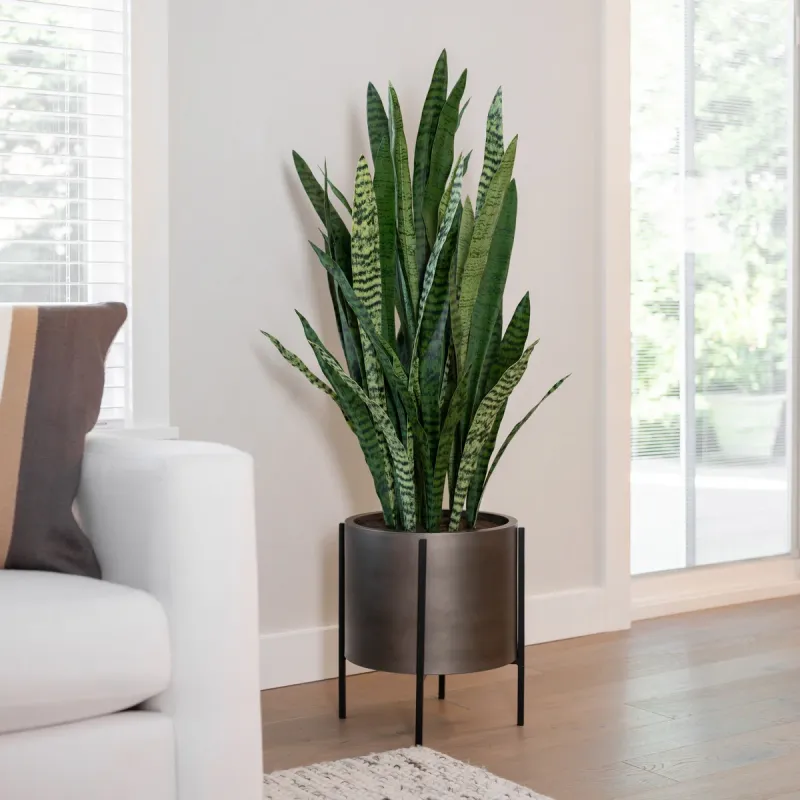 Skip These 8 Scentless Plants — Plant These 20 Aromatic Beauties ...
