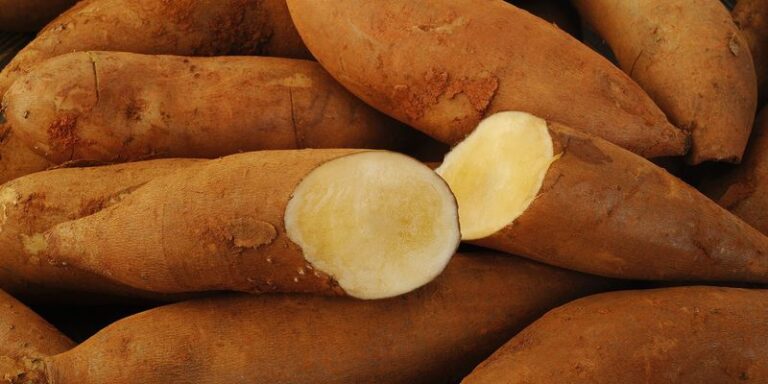 21 Unusual Root Vegetables You Should Try - Complete Gardening