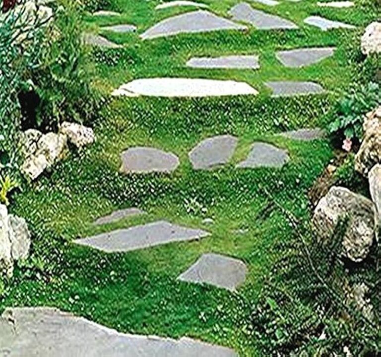 15 Genius Ideas for Planting Between Stepping Stones - Complete Gardening