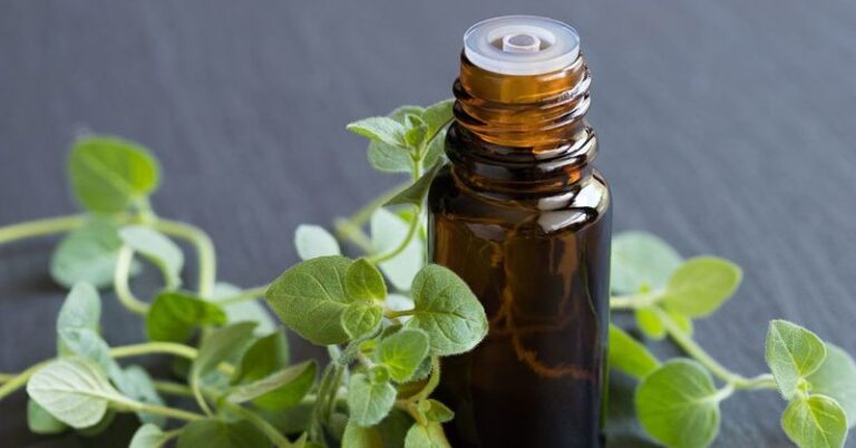Grow Your Own Aromatherapy Garden: 17 Plants Proven to Boost Your Mood ...