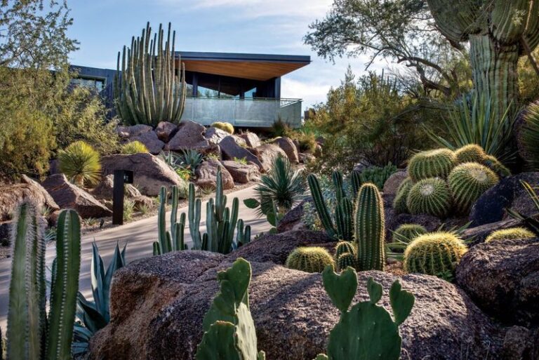 20 Best Drought-Tolerant Landscaping Ideas for Dry Climates - Complete ...