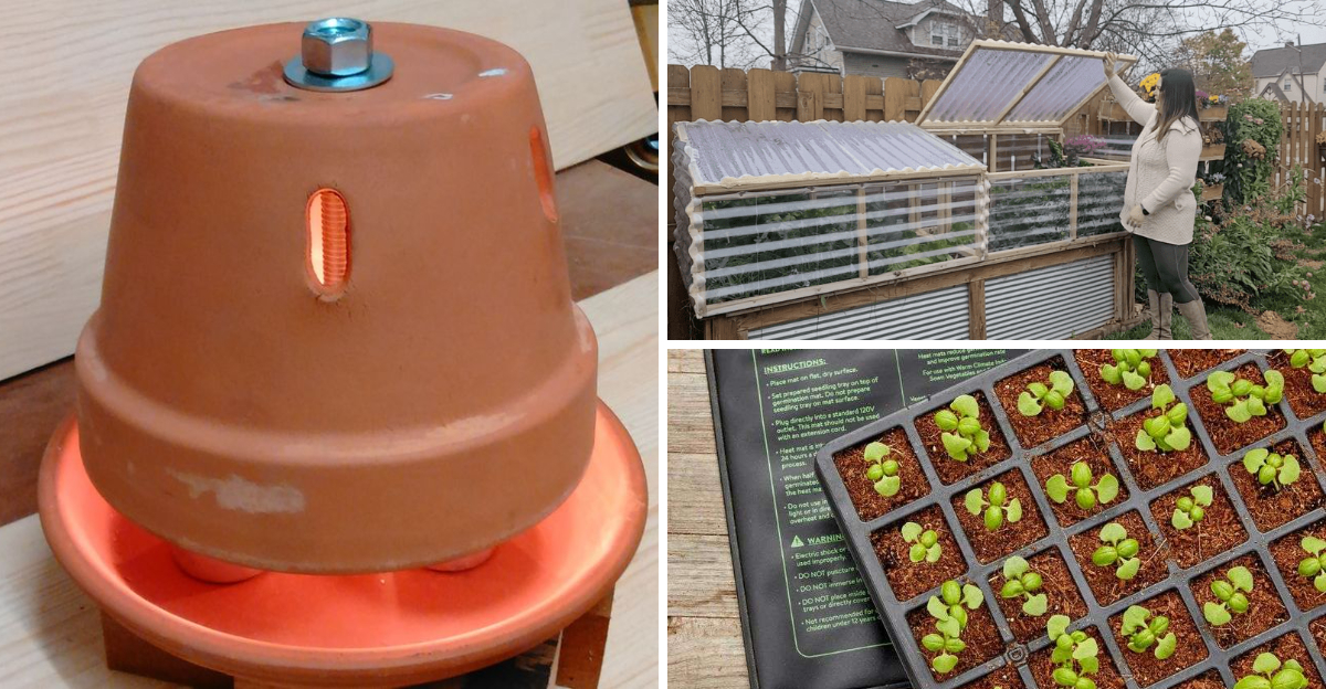 "Grow Lights & DIY Heaters?!" – 13 Genius Ways Gardeners Are Warming ...