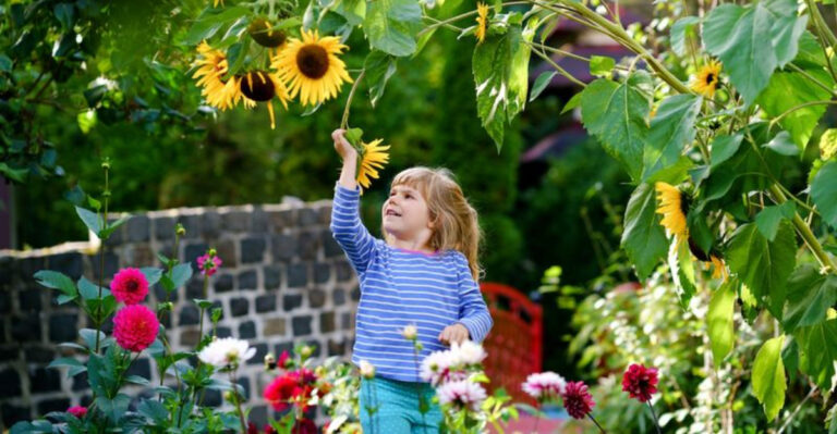 25 Fast-Growing Seeds Your Kids Can Plant Before Summer Ends - Complete ...