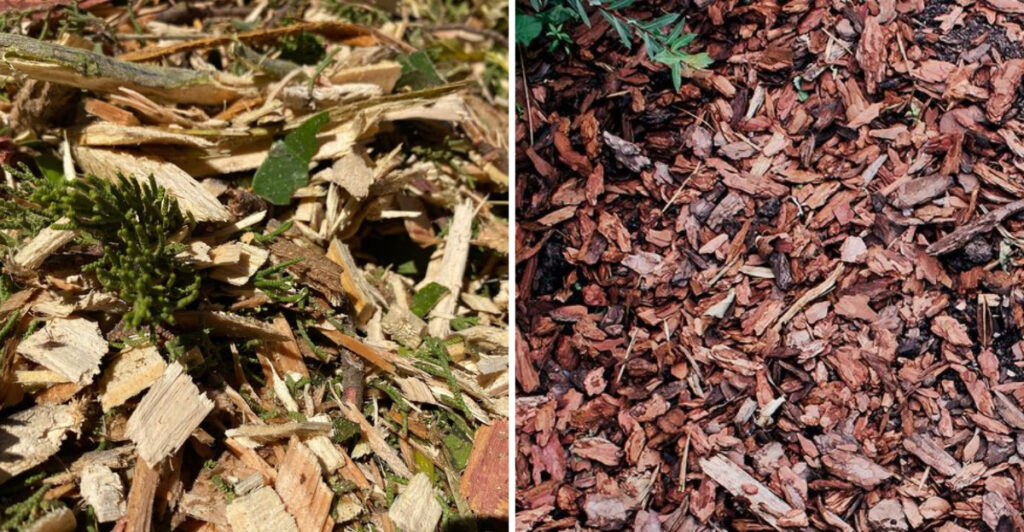 26 Mulching Mistakes You Must Avoid At All Costs (That Can Destroy Your ...