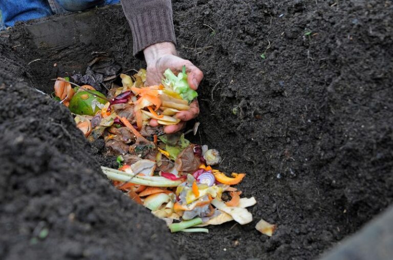 17 Easy Composting Methods for Beginners - Complete Gardening