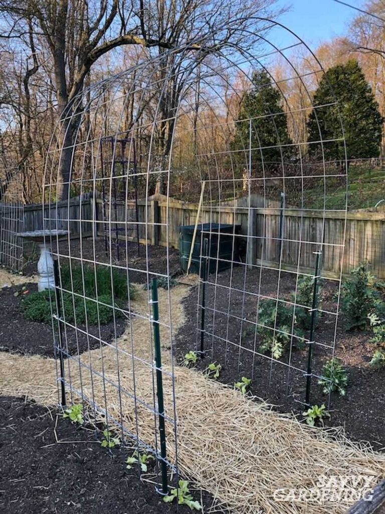 The 12 Best DIY Trellis Ideas for Climbing Plants - Complete Gardening