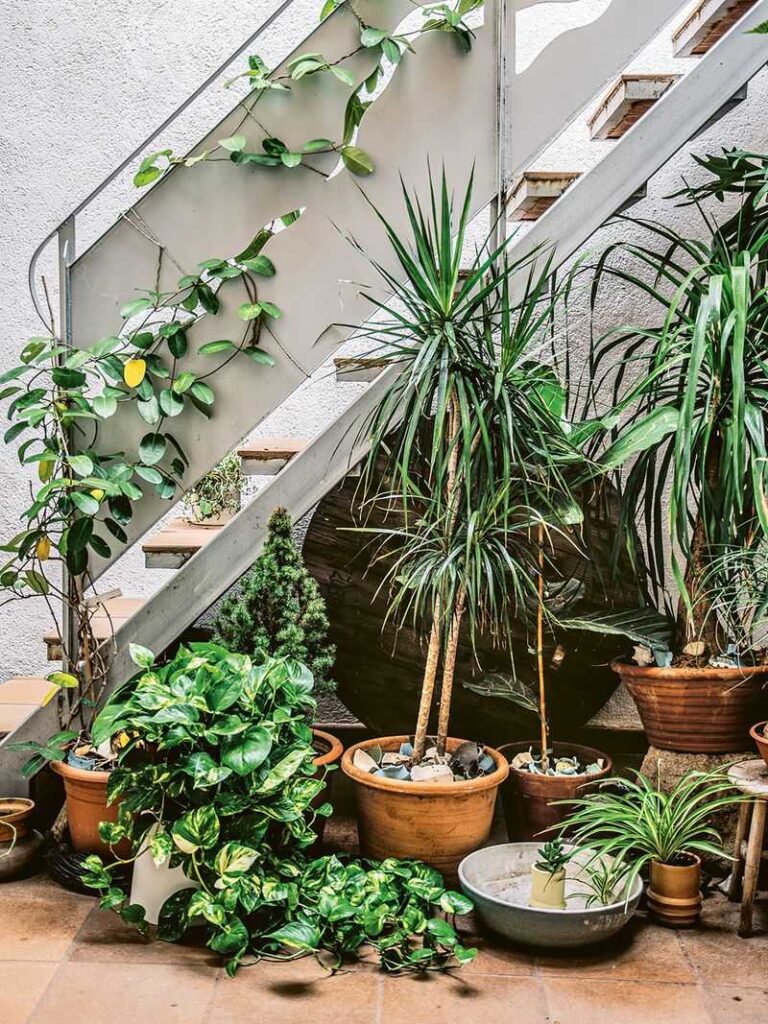16 crazy (but fabulous) garden ideas from Spain - Complete Gardening