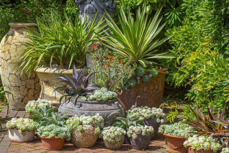 How to group pots – plus practical tips for fabulous container planting ...
