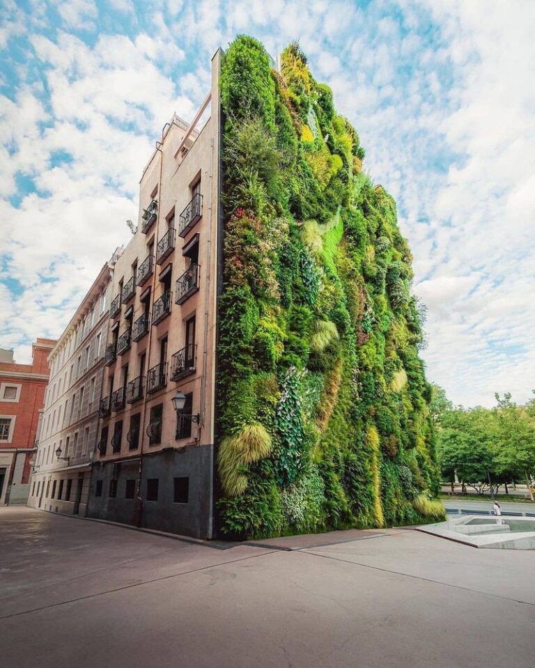 16 crazy (but fabulous) garden ideas from Spain - Complete Gardening
