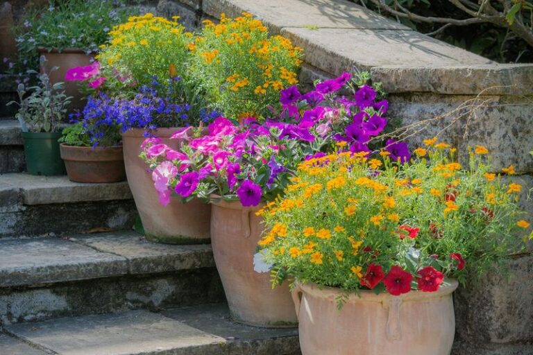 How to group pots – plus practical tips for fabulous container planting ...