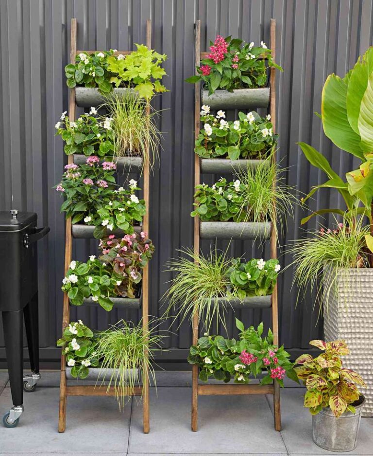 How to group pots – plus practical tips for fabulous container planting ...