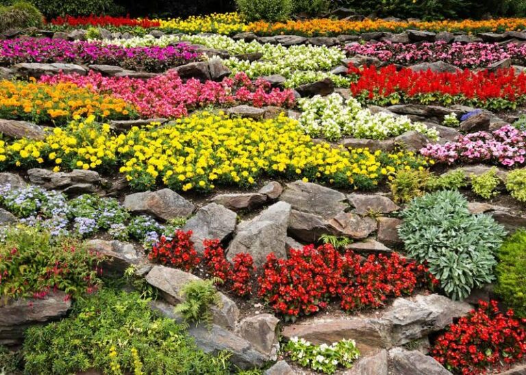 20 Best Drought-Tolerant Landscaping Ideas for Dry Climates - Complete ...