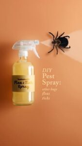 All-Natural Homemade Tick Spray: 7 Simple Steps to Keep Ticks Off ...