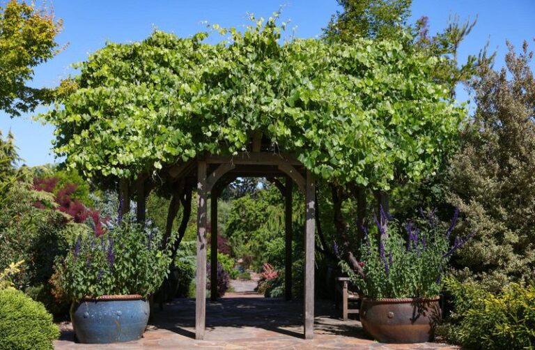 15 Forgotten Medieval Gardening Tricks That Still Work Today - Complete ...