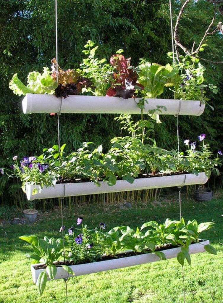 10 Creative DIY Vertical Gardens for Urban Dwellers - Complete Gardening