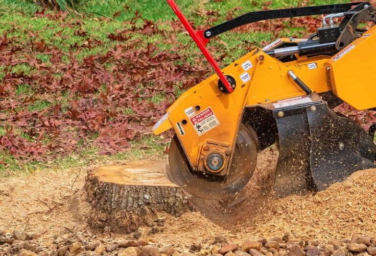 Skip These 7 Stump Removal Methods - Try These 13 That Actually Work ...