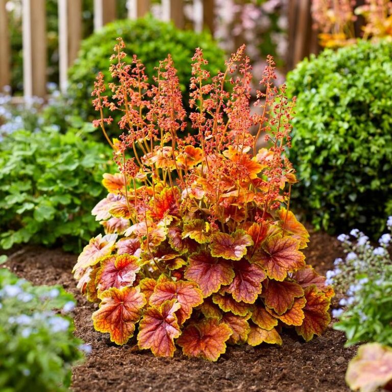 The 25 Most Beautiful Perennial Flowers to Plant in Your Garden ...