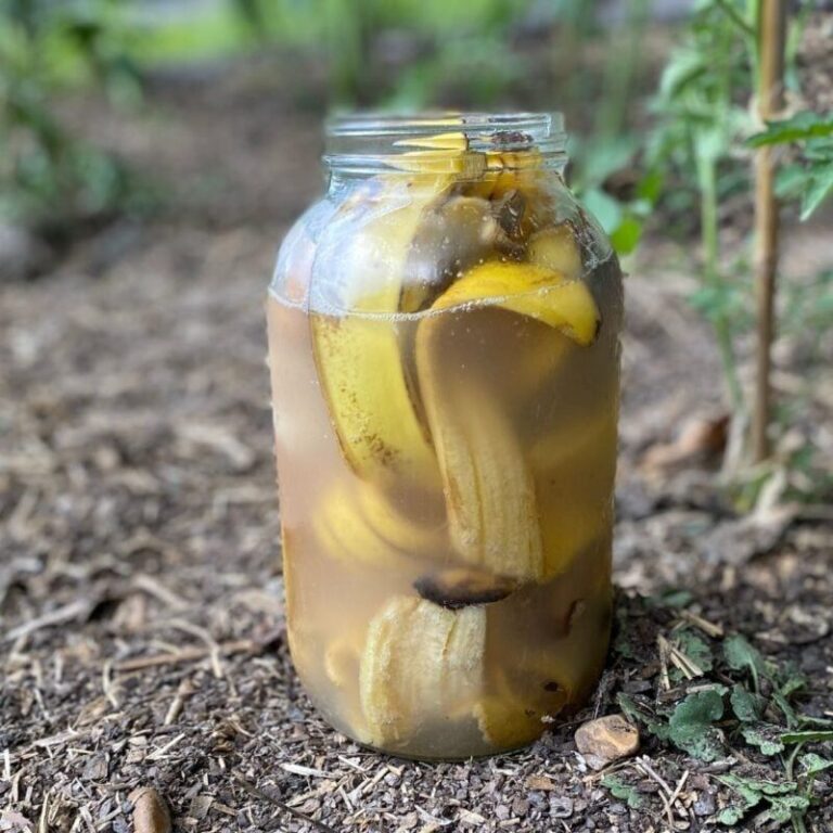 Stop Throwing Away These 19 Food Scraps - They're Secret Soil Boosters ...