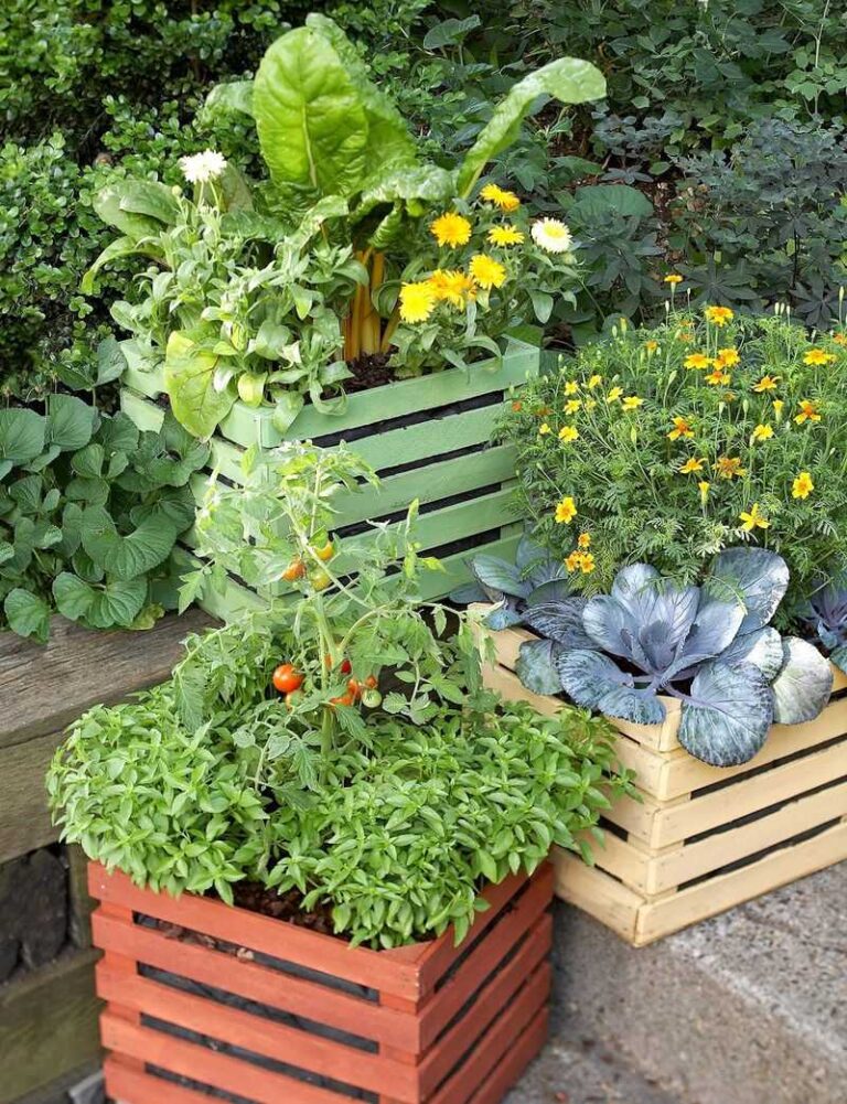 How to group pots – plus practical tips for fabulous container planting ...