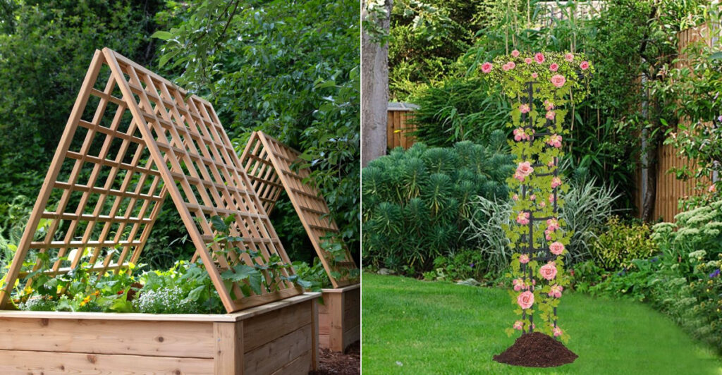 The 12 Best DIY Trellis Ideas for Climbing Plants - Complete Gardening