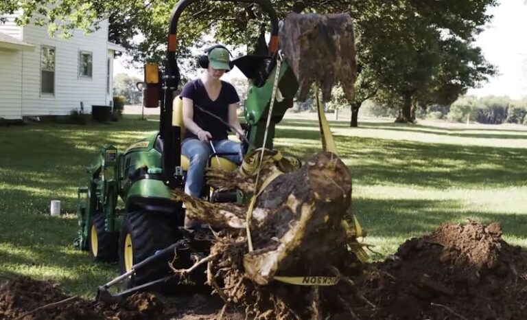Skip These 7 Stump Removal Methods - Try These 13 That Actually Work ...
