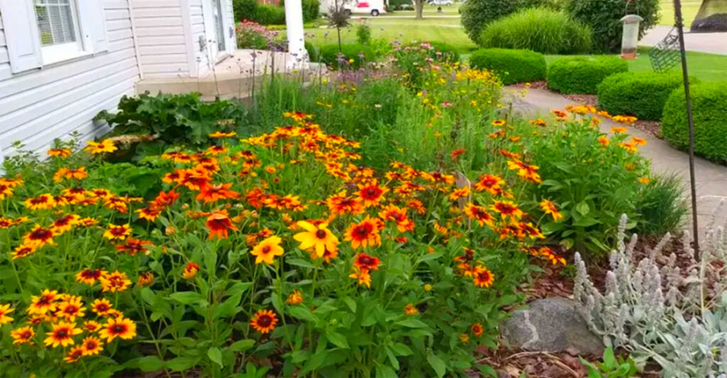 Illinois Garden Success: From Prairie Plants to Urban Green Spaces ...