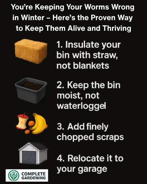 You’re Keeping Your Worms Wrong in Winter – Here’s the Proven Way to ...