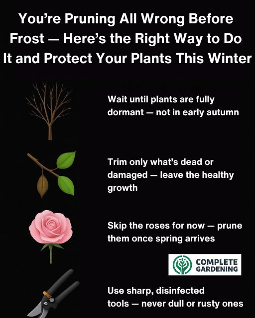 You’re Pruning All Wrong Before Frost - Here’s the Right Way to Do It ...