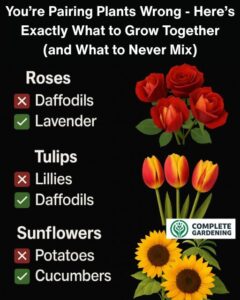 You’re Pairing Plants Wrong - Here’s Exactly What to Grow Together (and ...