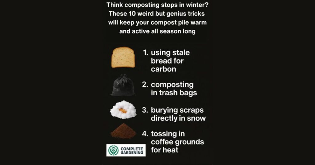 Think composting stops in winter? These 10 weird but genius tricks will ...